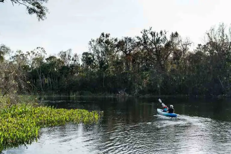 Best Kayaking Spots in Central Florida