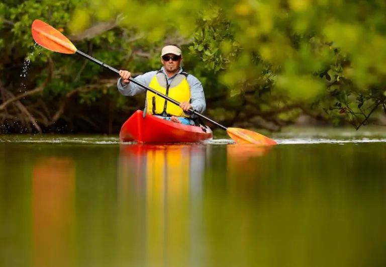 Best Kayaking Spots in Central Florida